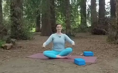 360°VR 瑜伽和我一起进入森林,催眠(森林篇)助眠|进入深度睡眠|解压|...