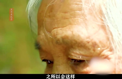 老人狠心剥下树皮,只为将陪伴了自己80年的肉桂树留在身边