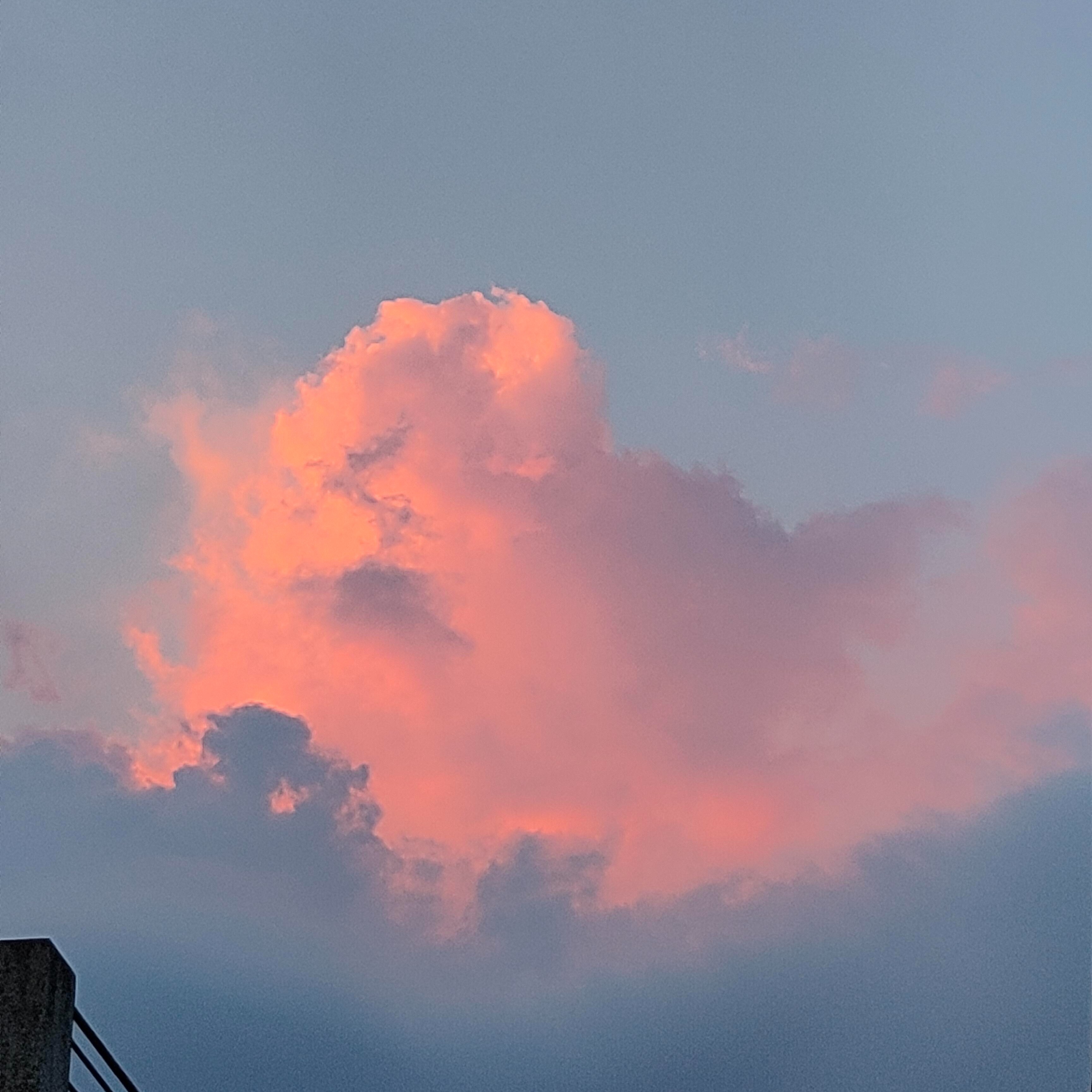 随意随得 