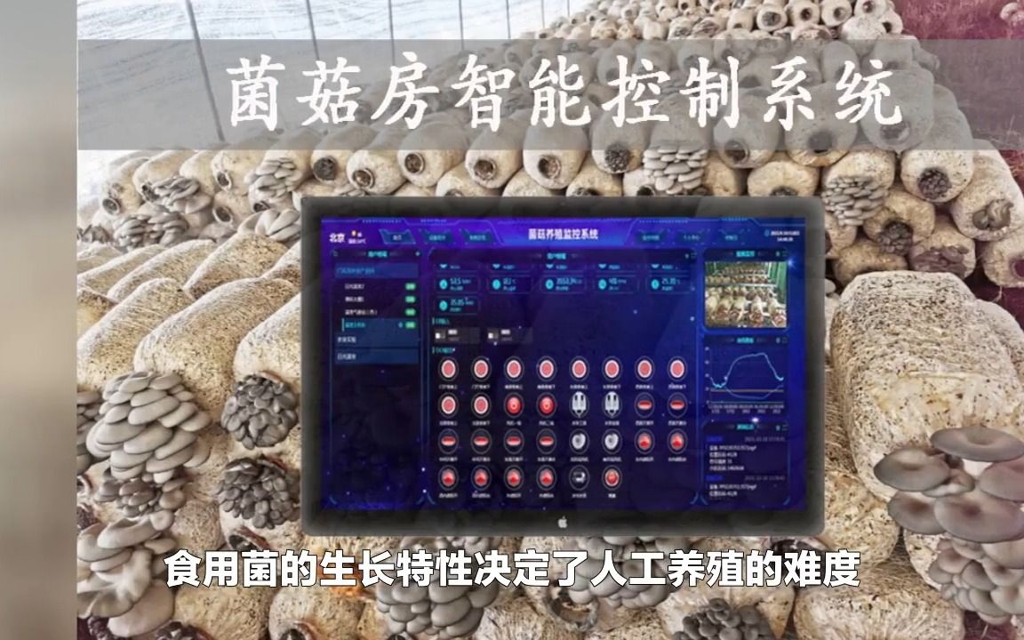 食用菌大棚的控制系统方案