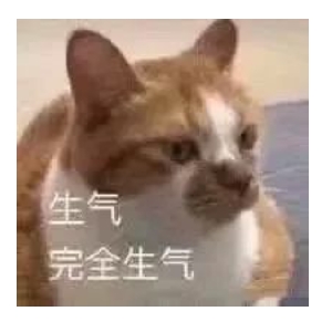 玩具喵星人 
