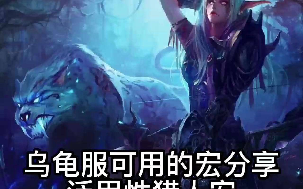 魔兽世界分享乌龟服一些实用的猎人宏_网络游戏热门视频