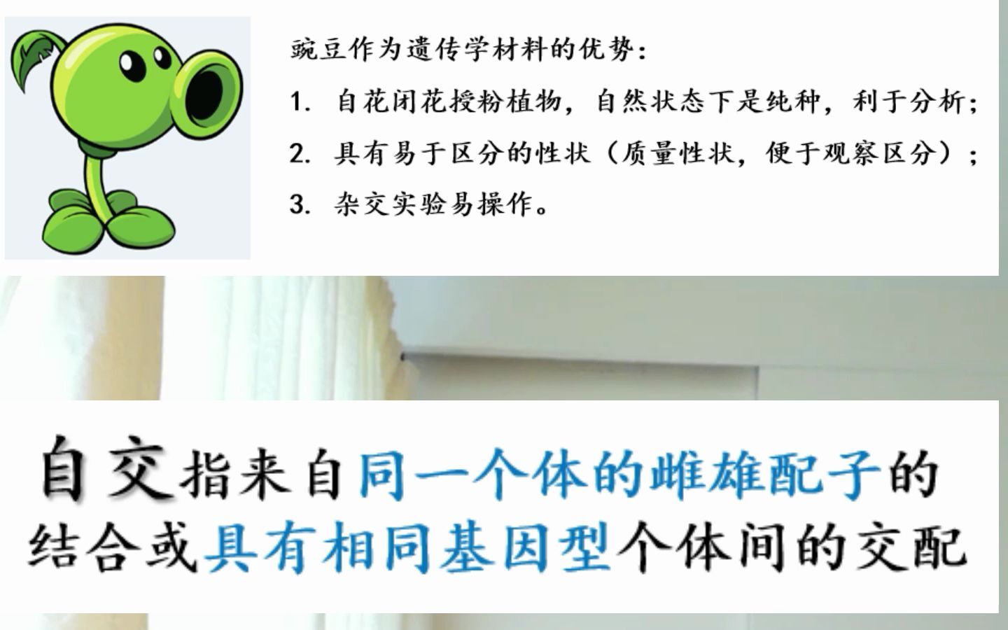 博士教你轻松学高中生物——分离定律