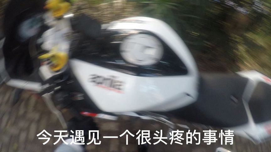 第一次使用GoPro,居然拍下这一幕