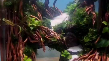 鱼缸造景