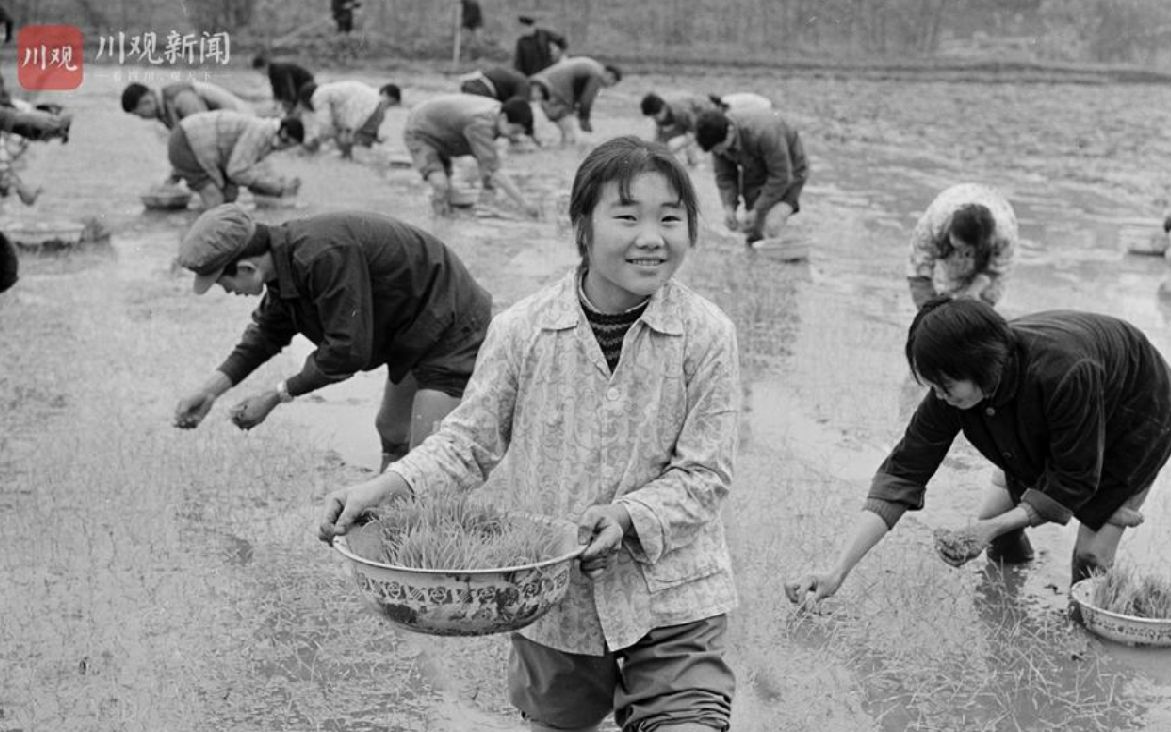 5.1致敬每一位劳动者 你认真的模样最美5.1致敬每一位劳动者 你认真...