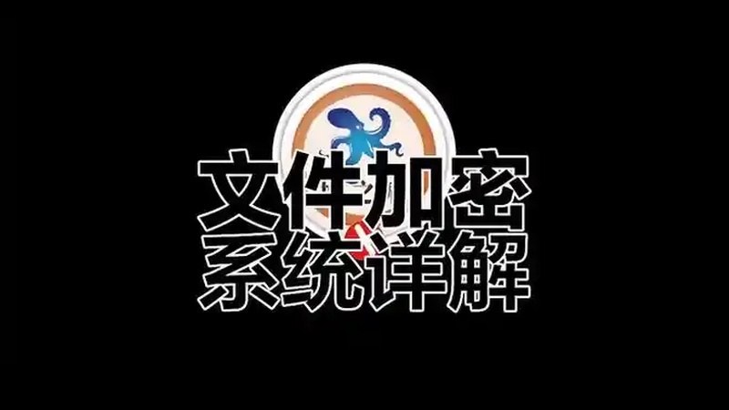 文档加密全解析:如何实现透明加解密操作