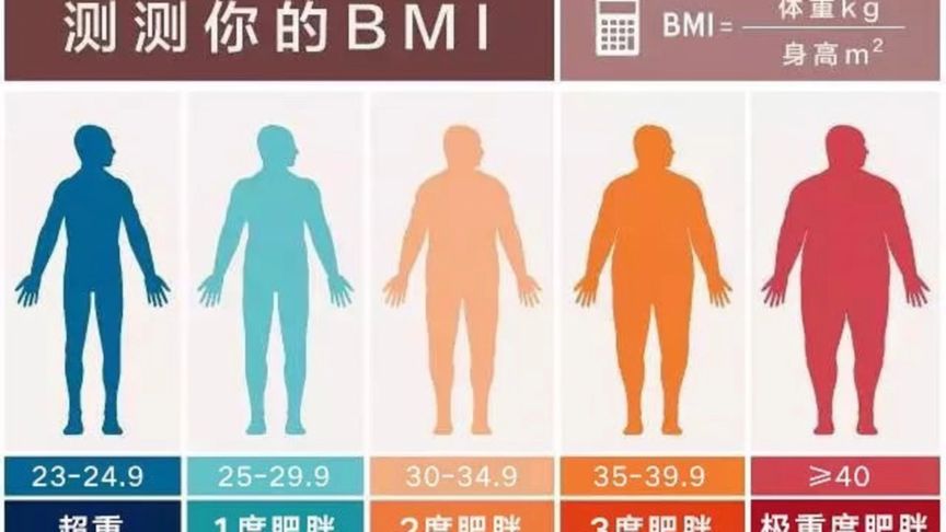 男生“BMl”指数计算,您的体重超标了吗?是胖是瘦一算并知!