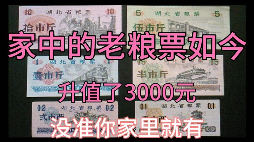 老粮票3000元钱一套没准你家里就有全国通用粮票 1955年~1957年