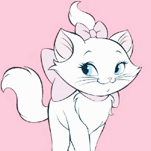 猫猫哥哥儿 