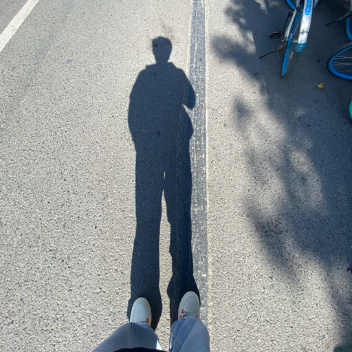 者苗的游戏时光 