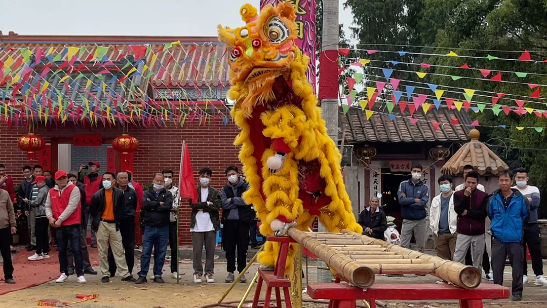 传统桥青|湛江遂溪龙湾醒狮团|国家级非遗遂溪龙湾醒狮|舞狮表演|舞龙...