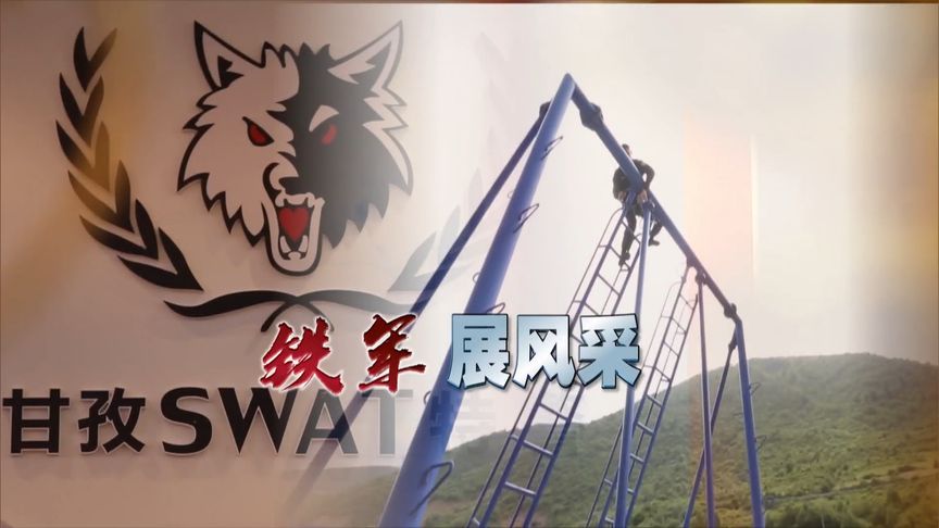 特警队员在高原上进行实战演练,挑战极限,为荣誉而战