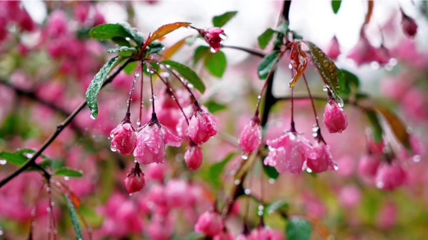 购房房屋需要支付的税费