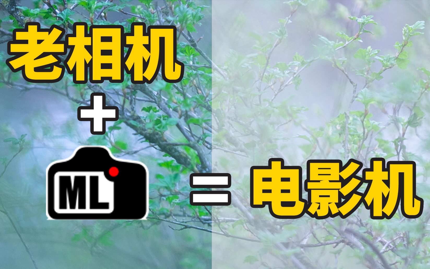 【用8年前的600D拍摄14bit的RAW视频】老相机+魔灯固件=电影机