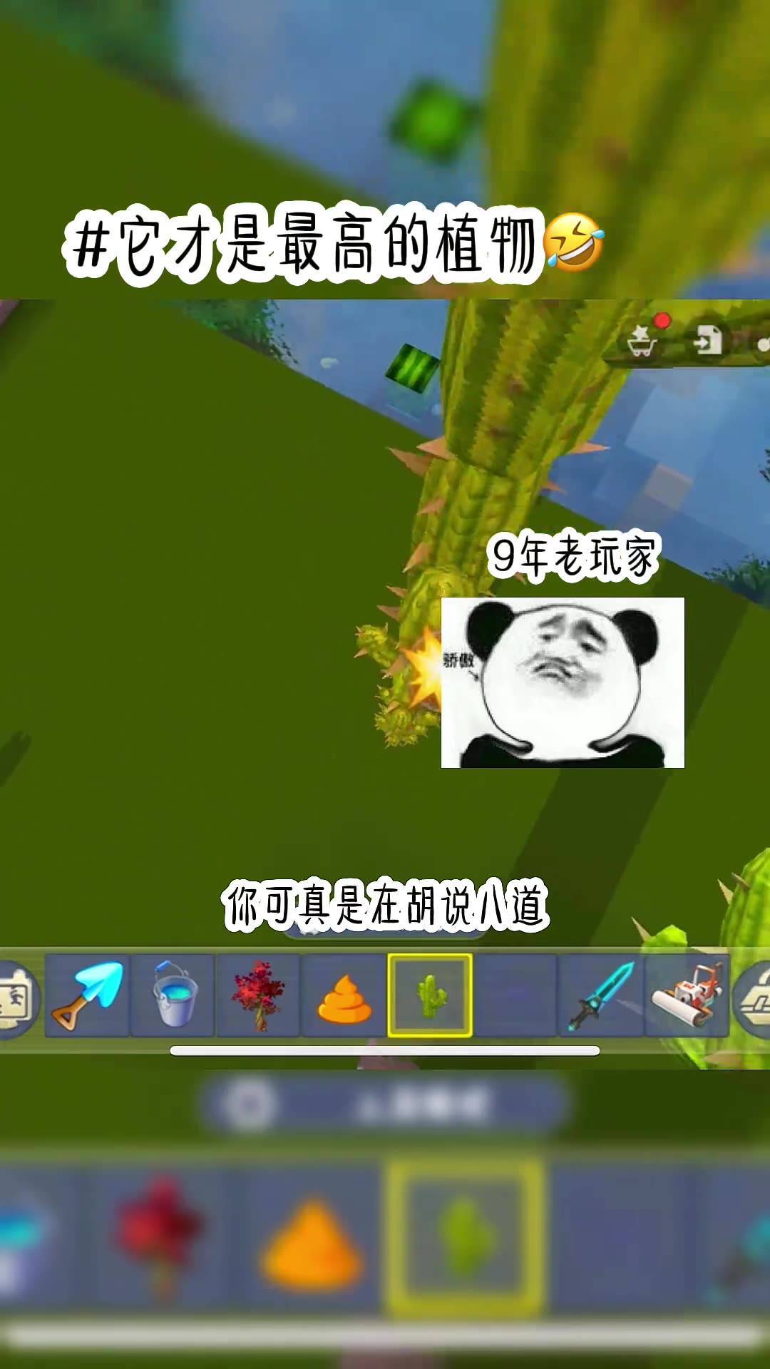 迷你世界,小小冒险家的大大梦想!