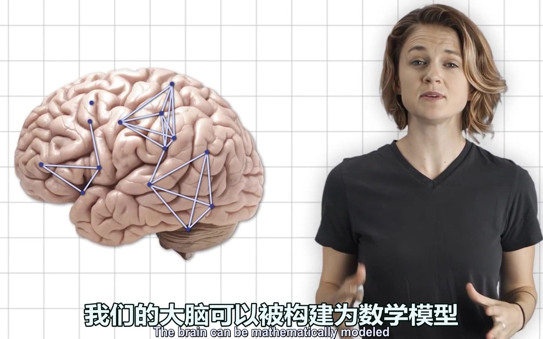 大脑与数学第三部:从数学模型分析对重构大脑的刺激