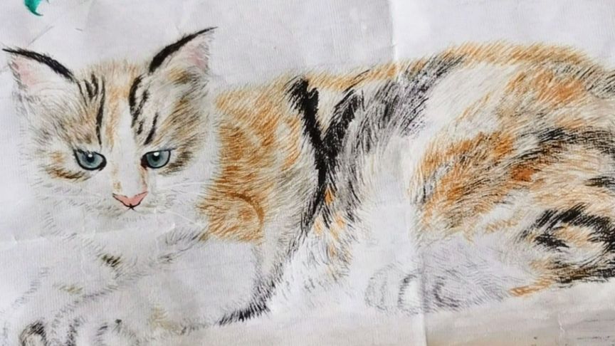 国画小动物来咯,乖乖哒工笔小猫咪,好想抱进怀里的感觉有木有。