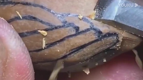 福建木匠师傅的刻刀一直是个迷,我都看不懂怎么这么锋利,这是什么...