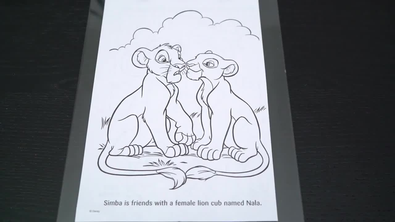 狮子王动画中的辛巴和娜娜卡通漫画涂色