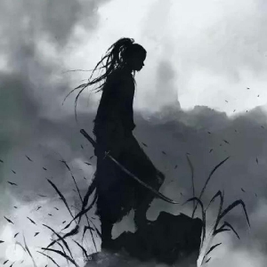 盖诺森 