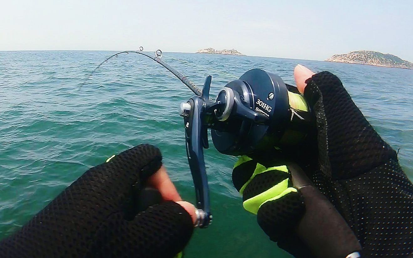 海钓拉流钓组解析,东西其实简单易懂,学会就能出海船钓海鲈了