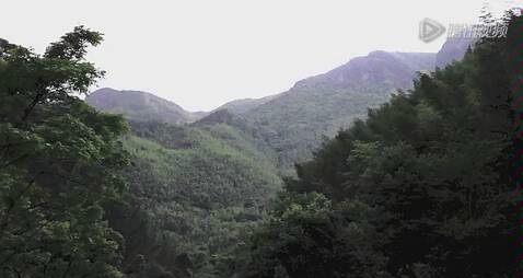 世界只是一个游戏-空心菜