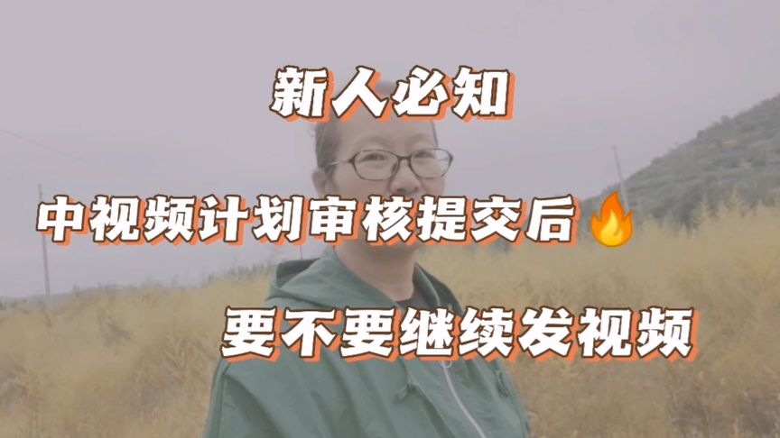 中视频计划审核提交后,要不要继续发视频,很多人的不知道