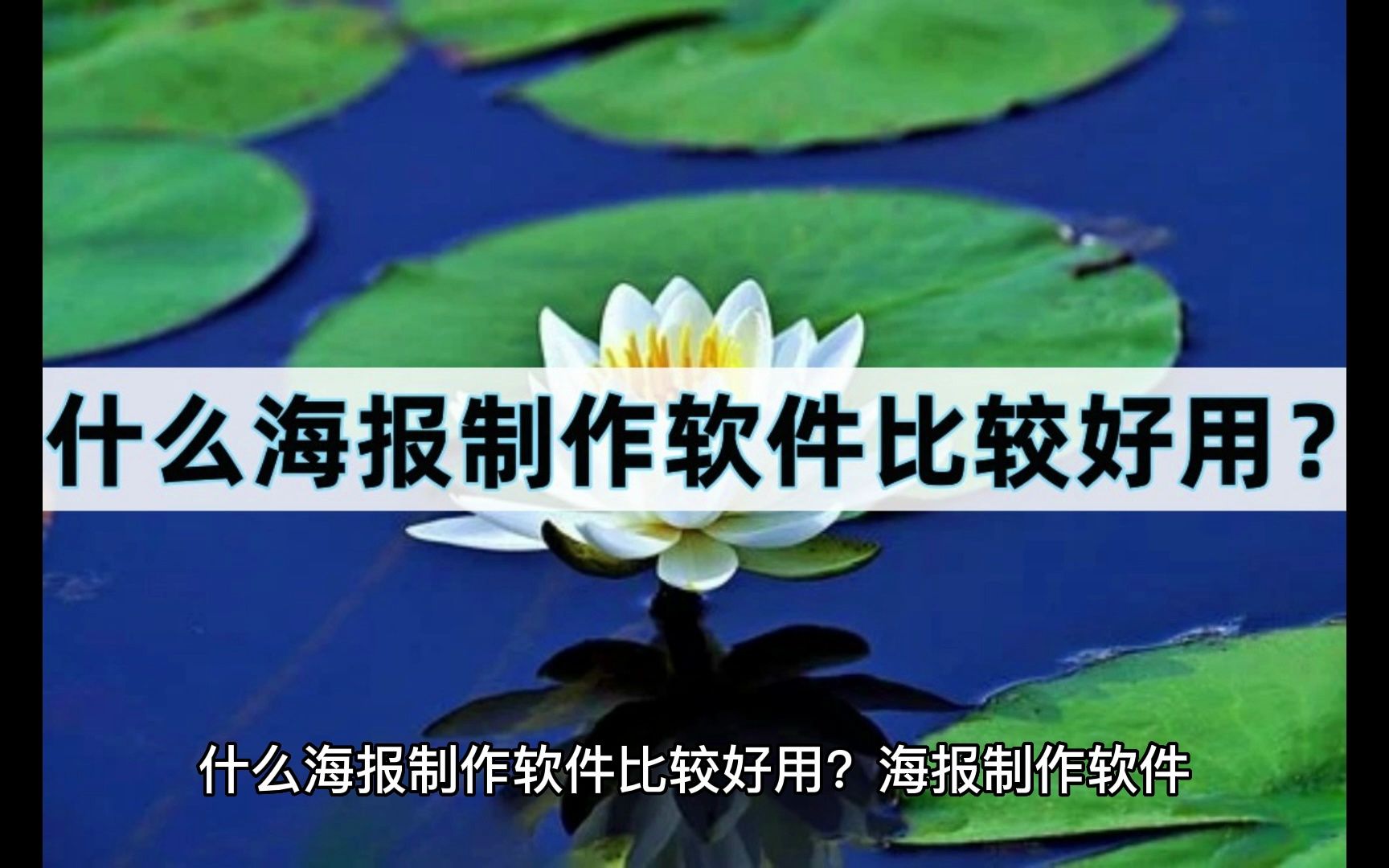 什么海报制作软件比较好用?这几个软件挺好用