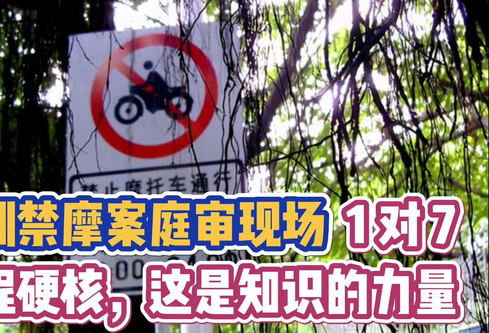 深圳禁摩案庭审现场,王教授1对7,全程硬核,这是知识的力量