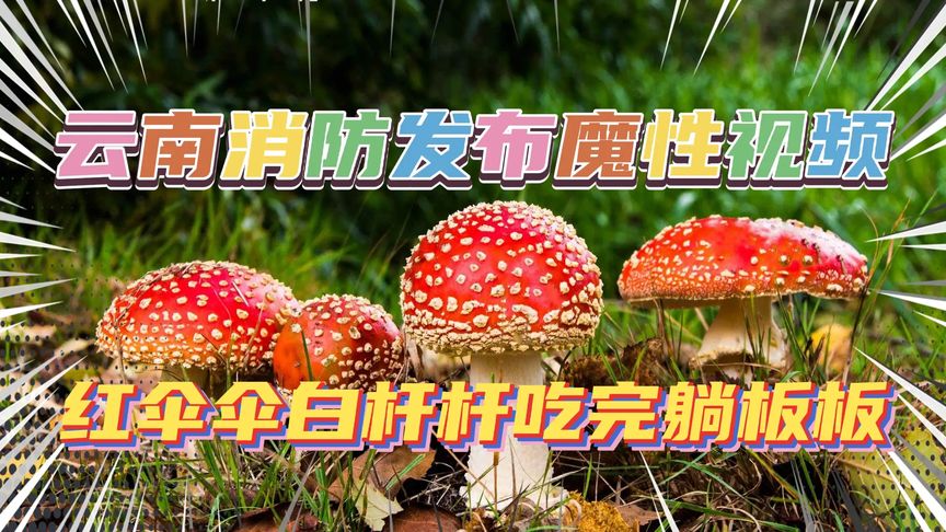 云南消防发布魔性视频,红伞伞白杆杆吃完躺板板