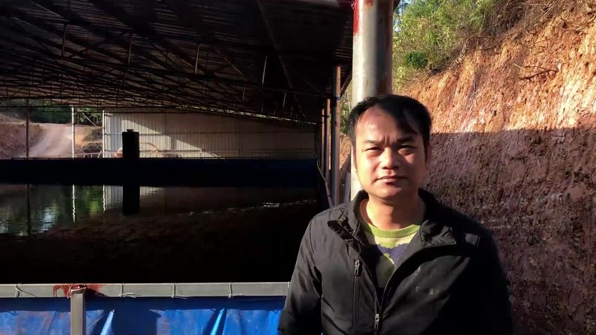 人工框架帆布做鱼塘,看养殖户如何大棚养殖塘角鱼