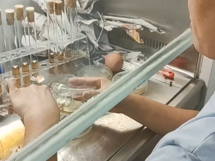 实验室日常-啤酒微生物检验员实操培训怎么做!