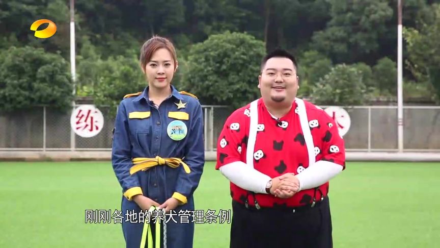 遛狗都会牵狗绳,但狗绳长度也是有讲究的,最好别超过2米