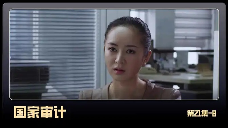 国家审计:工程预算大乌龙?真相待揭!(100)