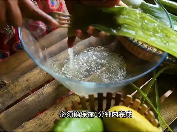 芦荟奶茶 纯野生芦荟必须赶在一分钟内掏空芦荟肉,这样做成的奶