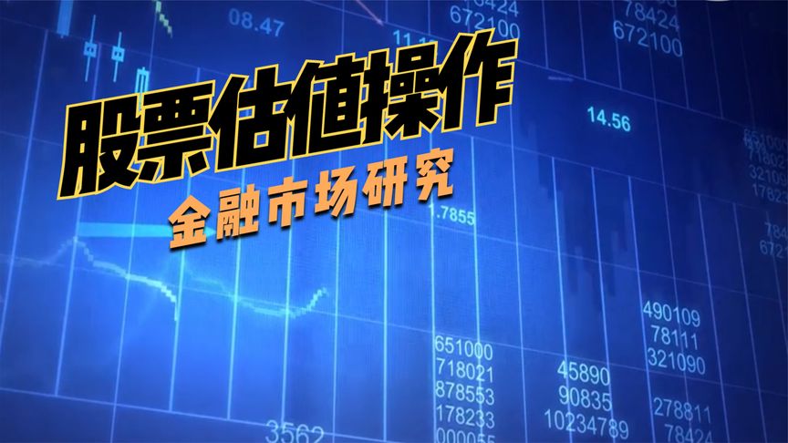金融市场学课程:第四讲 股票价值估值与风险分析实操