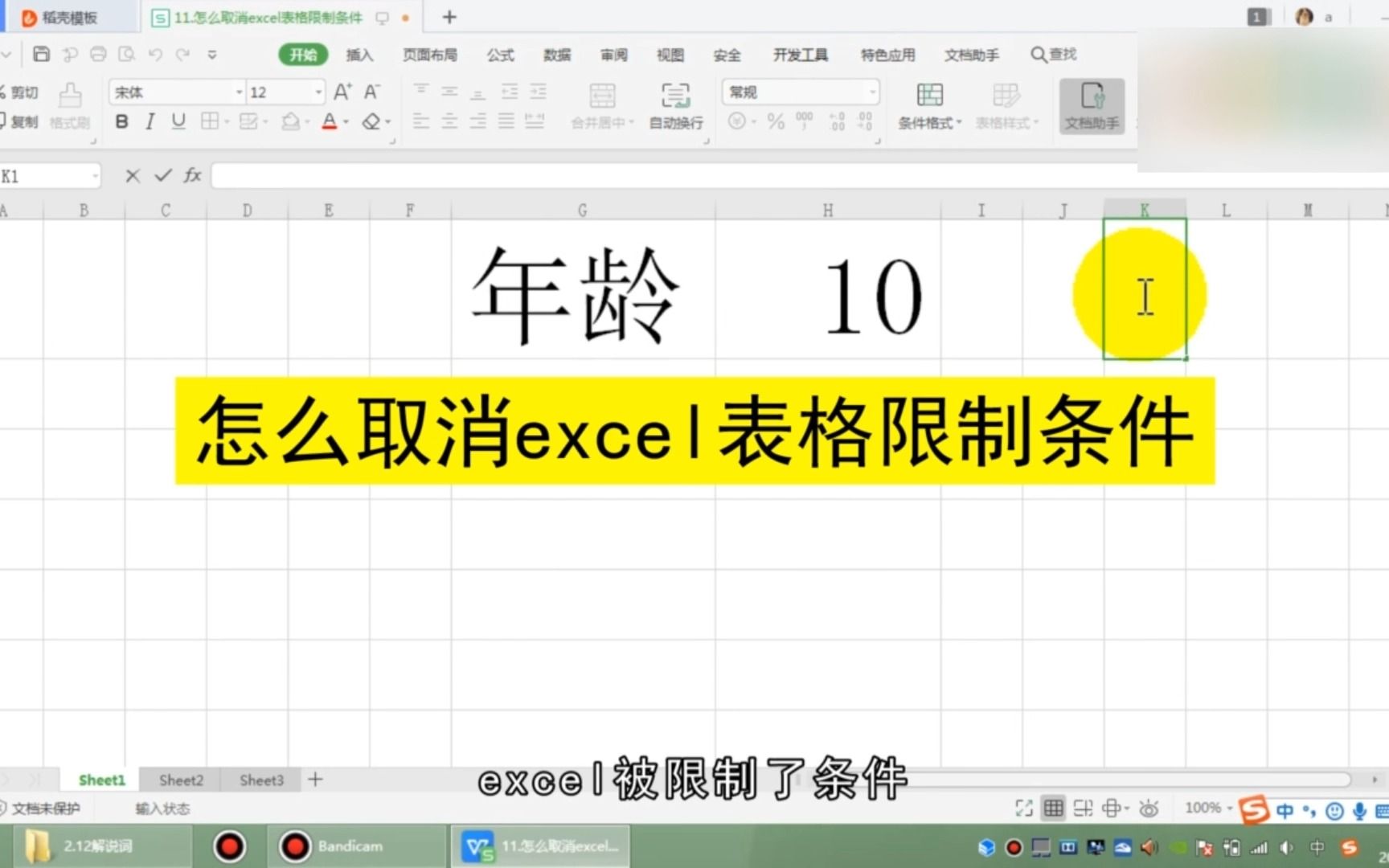 怎么取消excel表格限制条件,取消excel表格限制条件