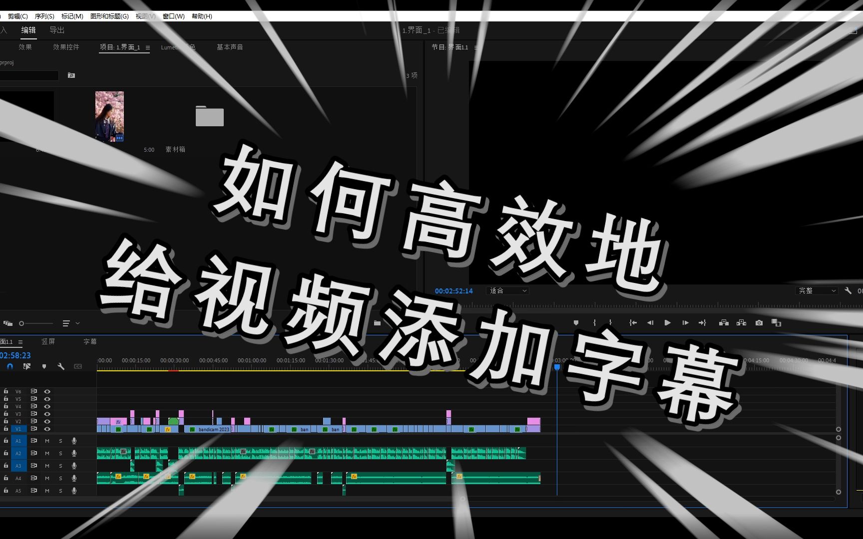 PR加字幕的方法你还不会 我会伤心的