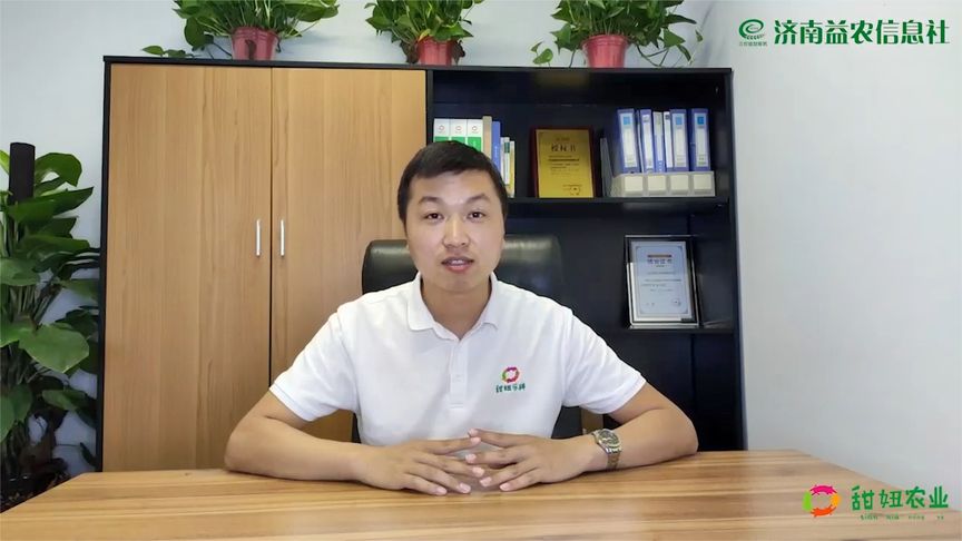 如何通过线上线下开展农产品电子商务活动?