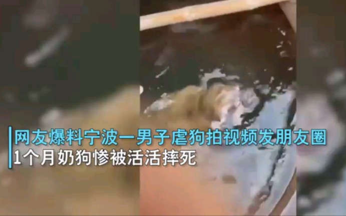 惨无人道!宁波男子虐杀1月大奶狗,放水缸里淹完摔死直呼好玩!
