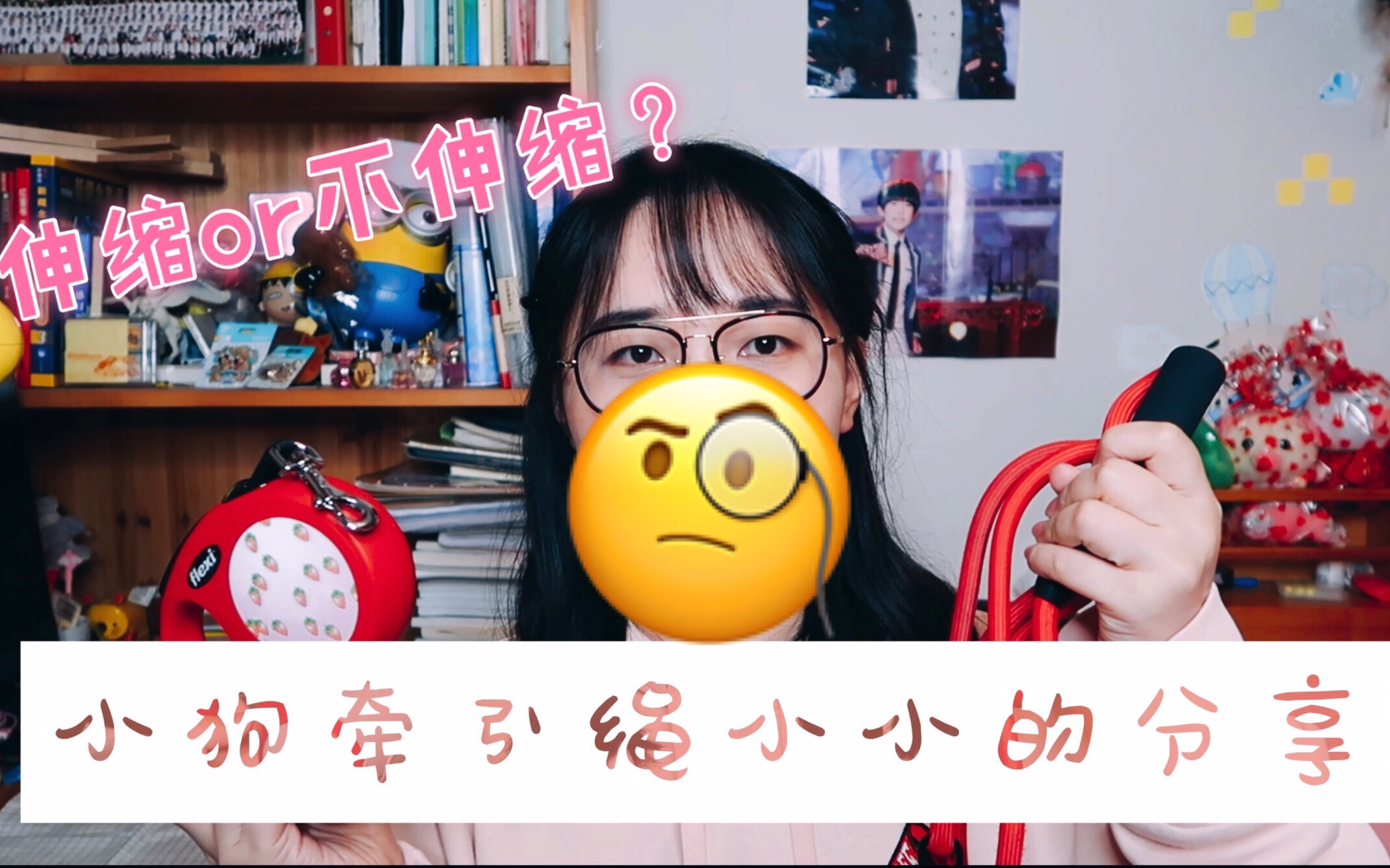 【使用体验#2】小狗的牵引绳是伸缩的好还是不伸缩的好呢?