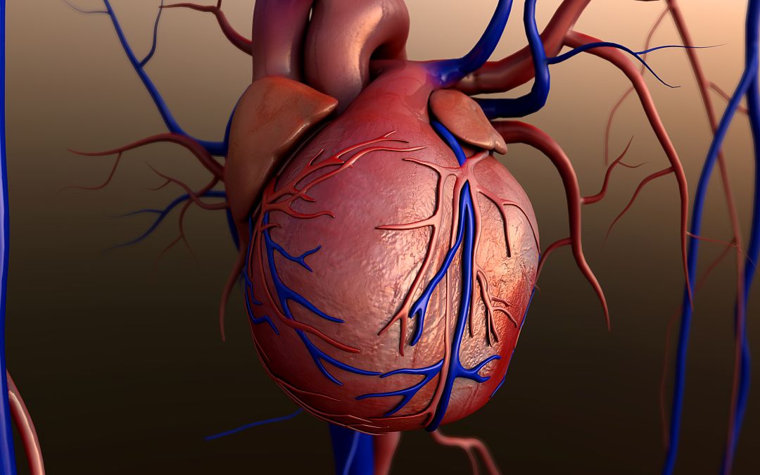 查出冠状动脉综合征,西医束手无策,转中医斑块居然消失发生逆转