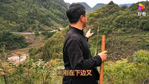 姨妈菜也是药,开白色的花,叶子像当归,在中药里面用途很广!