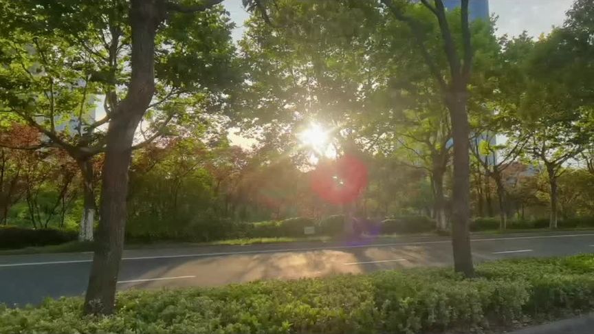 今日夏至,这是一年中白天最长 黑夜最短的一天