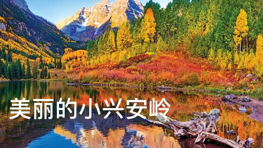 特级教师李老师,为你朗读三年级课文《美丽的小兴安岭》