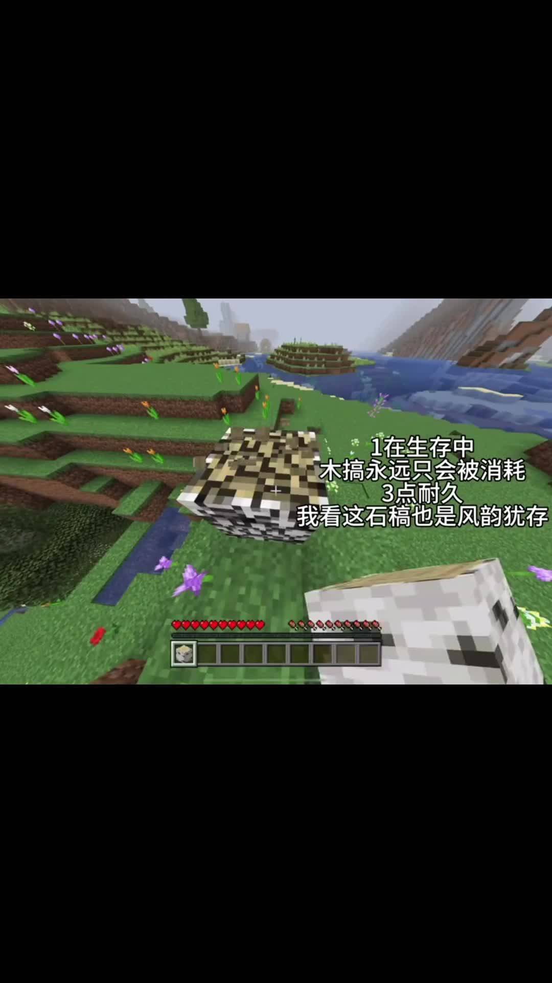 你是狗啊,你习性?