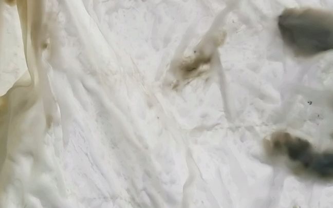 洗完的羽绒服不蓬松怎么办?教你一招