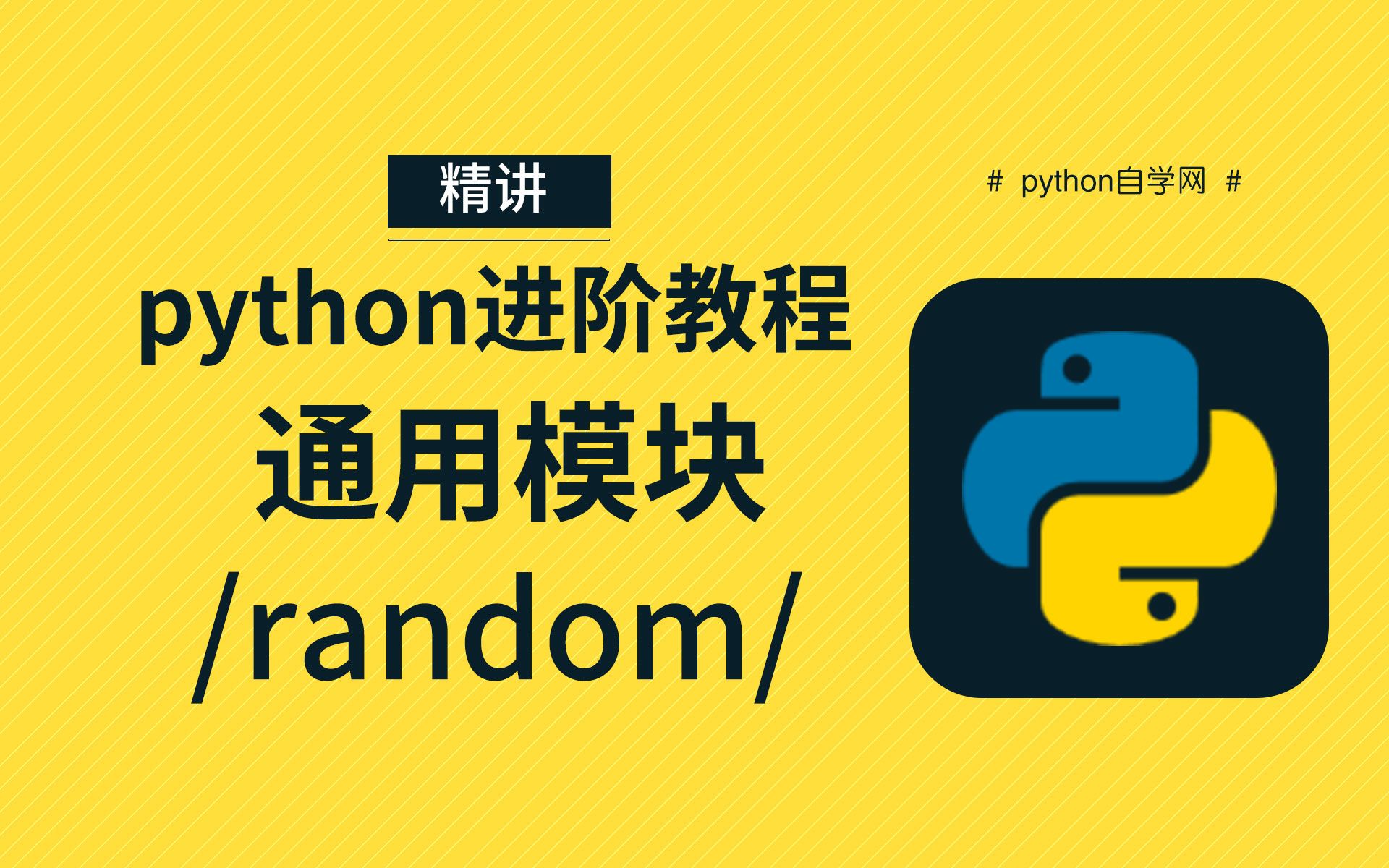 【通用模块】random随机数 精讲教程python自学网
