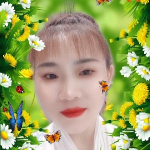 福乐人生 